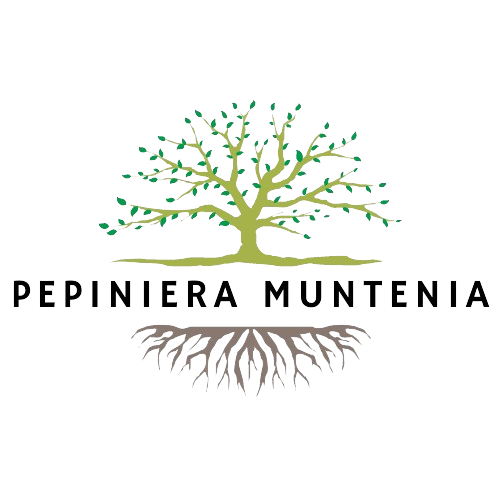 Produse – Pepiniera Muntenia